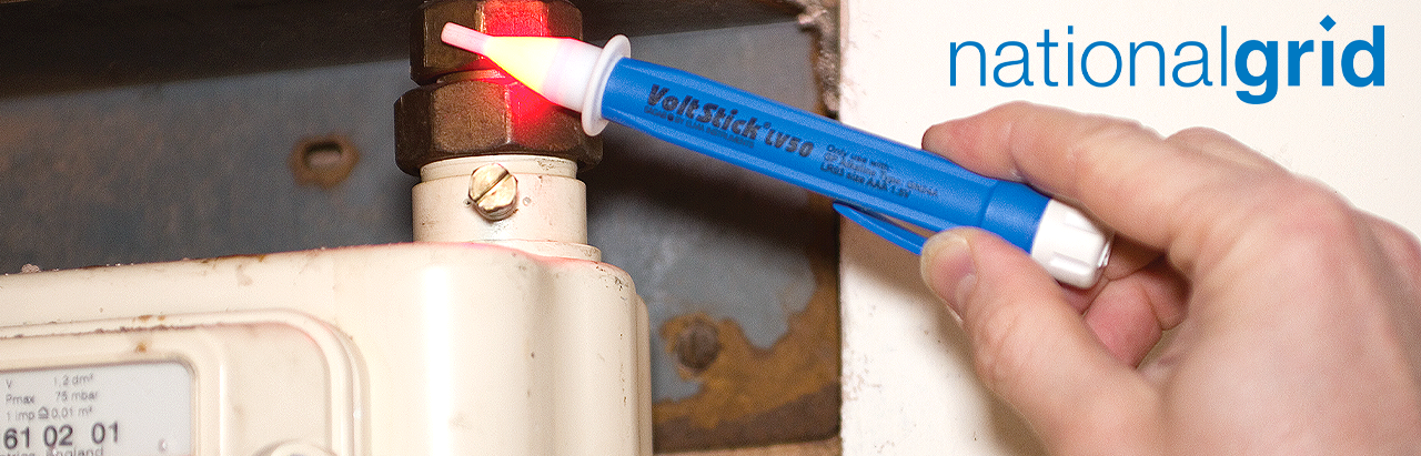 Volt Stick LV50 developed for National Grid US