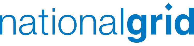 Volt Stick LV50 developed for National Grid US